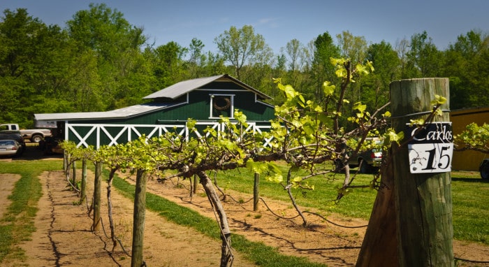 Marvelous Midland: 5 Exciting Things to Do in Midland, NC