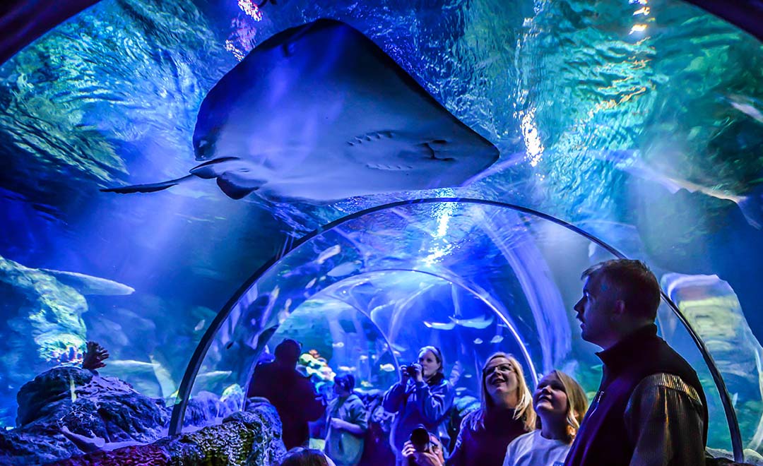 11 Things to Do in Concord, North Carolina (Start Planning Today)