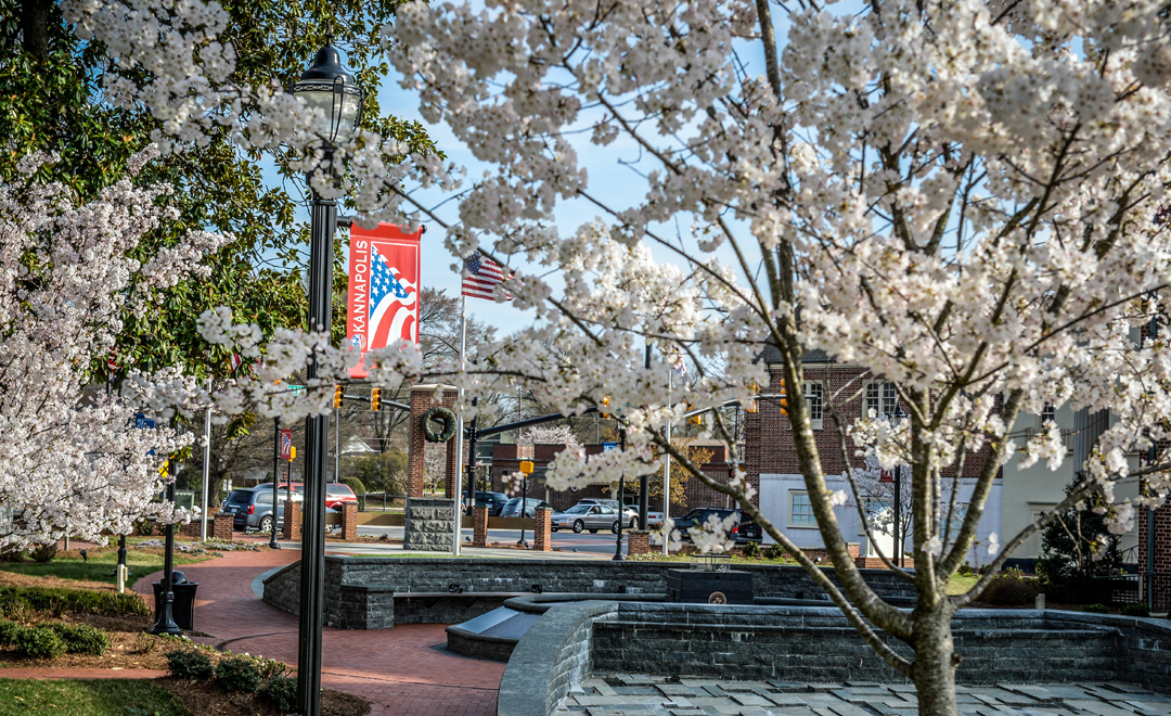 Guide to Outdoor Adventures in Cabarrus County, NC