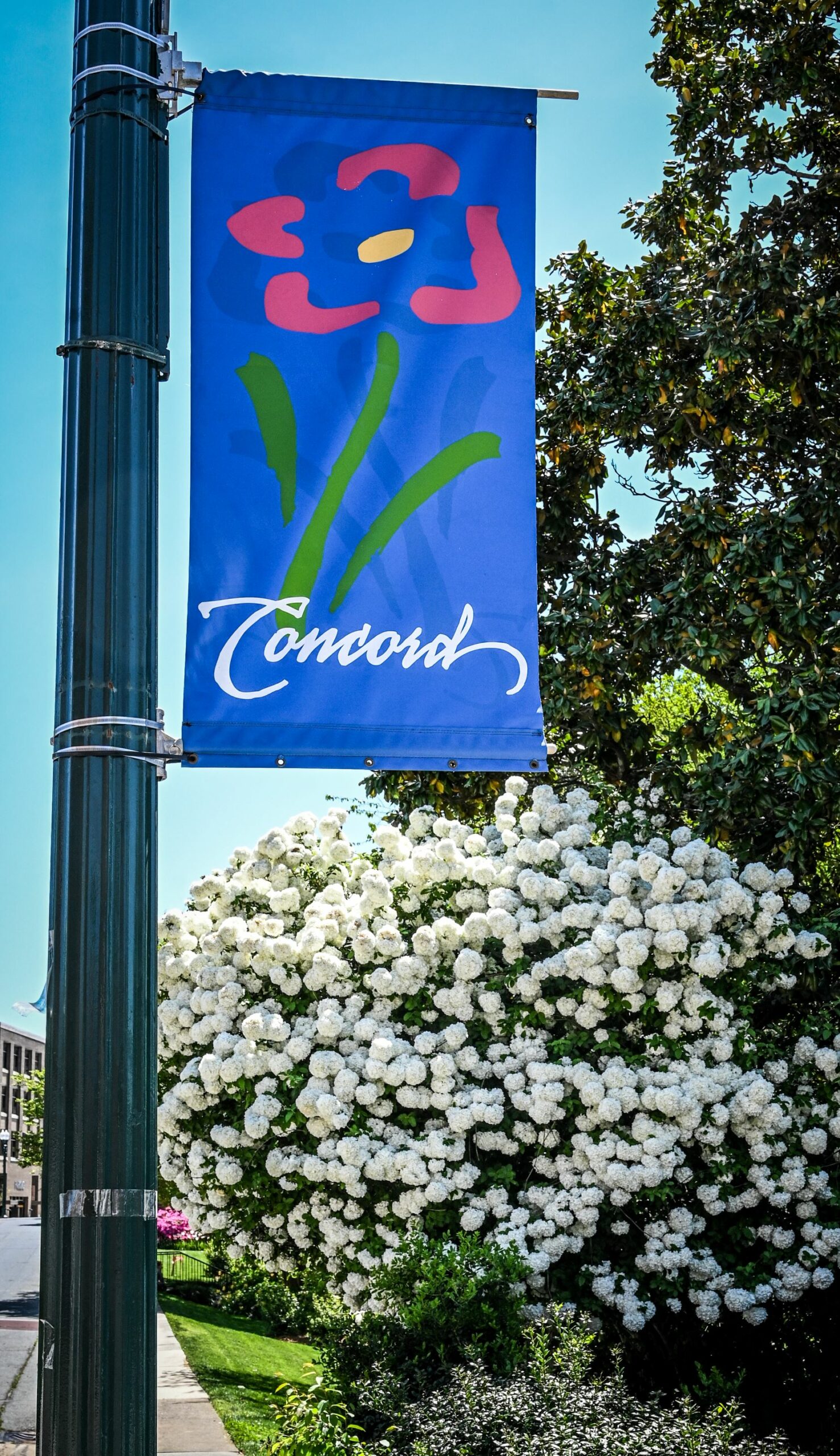 Explore Every Season in Cabarrus County