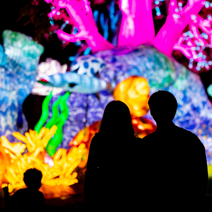 The Mighty Meeple | Explore Cabarrus