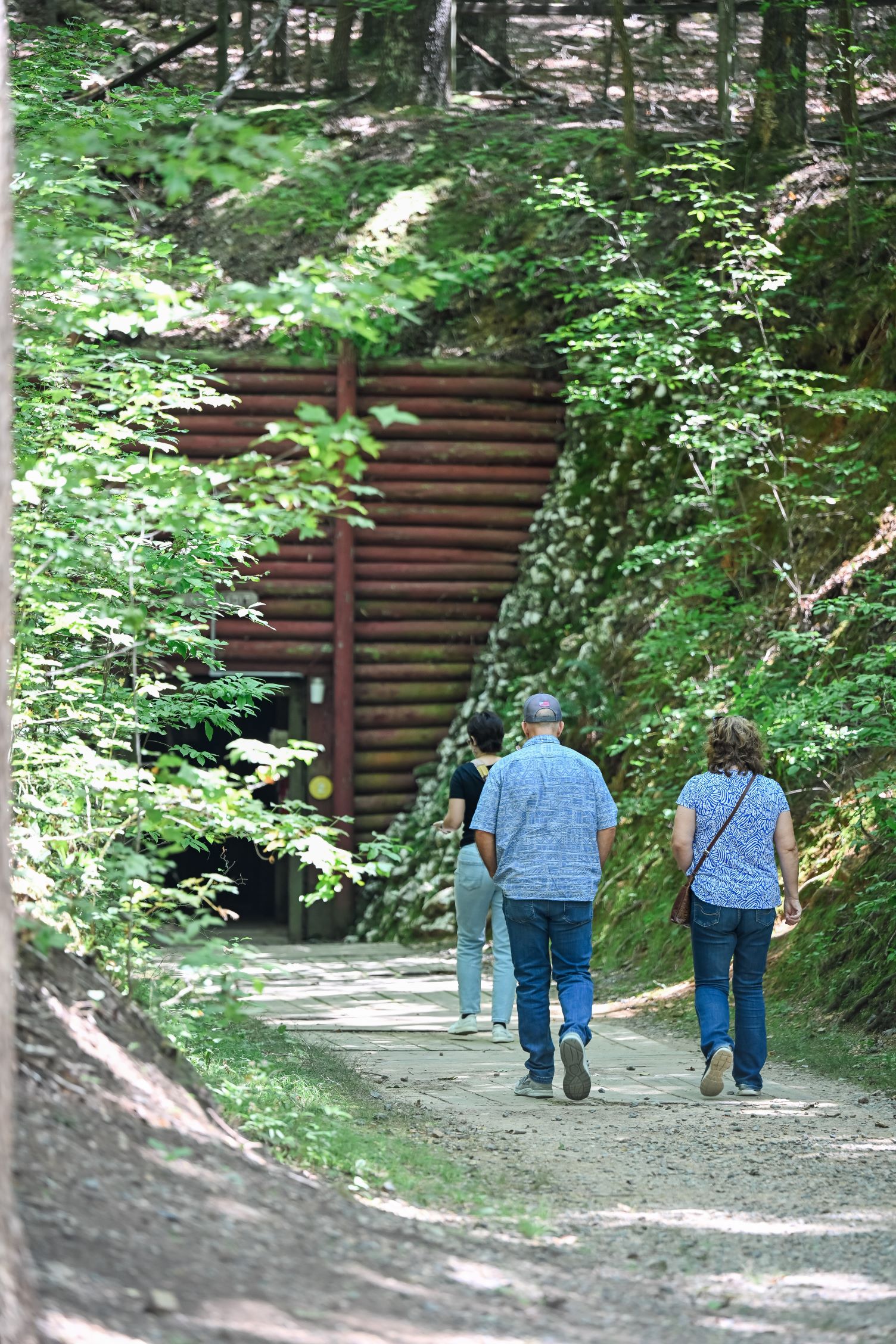 Visiting Reed Gold Mine According to the Experts
