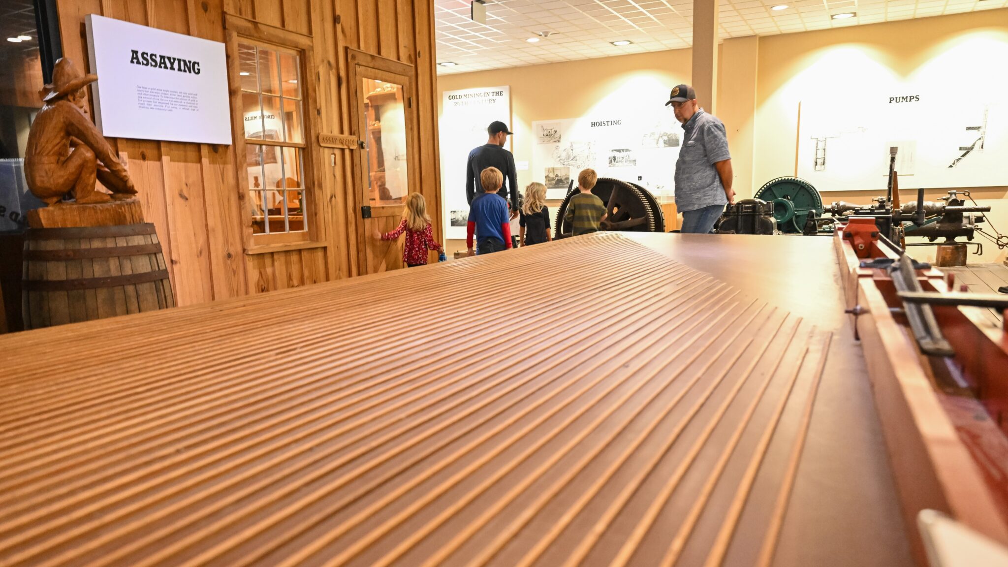 Visiting Reed Gold Mine According to the Experts