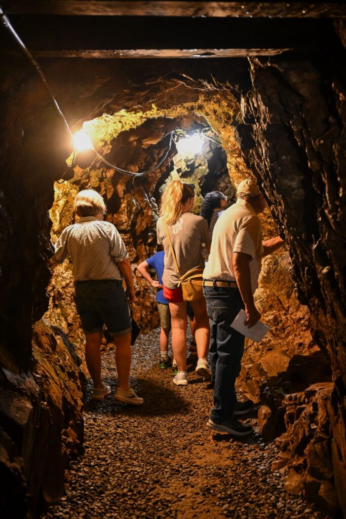 Visiting Reed Gold Mine According to the Experts