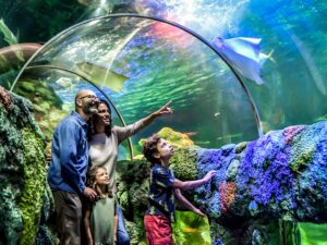 Burke Christian Tours | Explore Cabarrus
